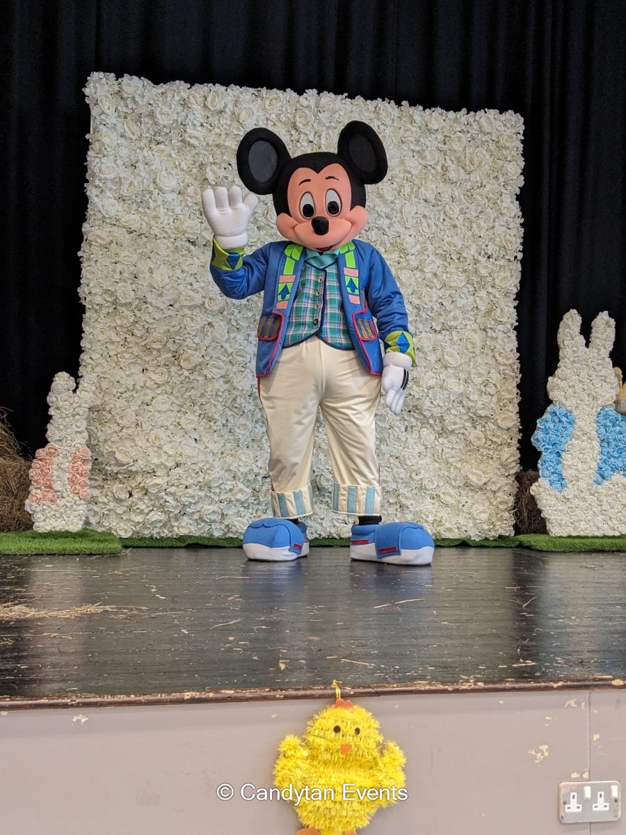 Mascot Appearances - Bouncy Castle Hire in Ashford, Aldington ...