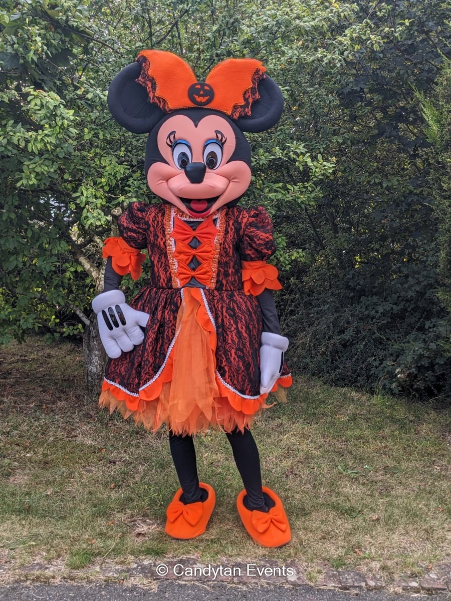 Mascot Appearances - Bouncy Castle Hire in Ashford, Aldington ...